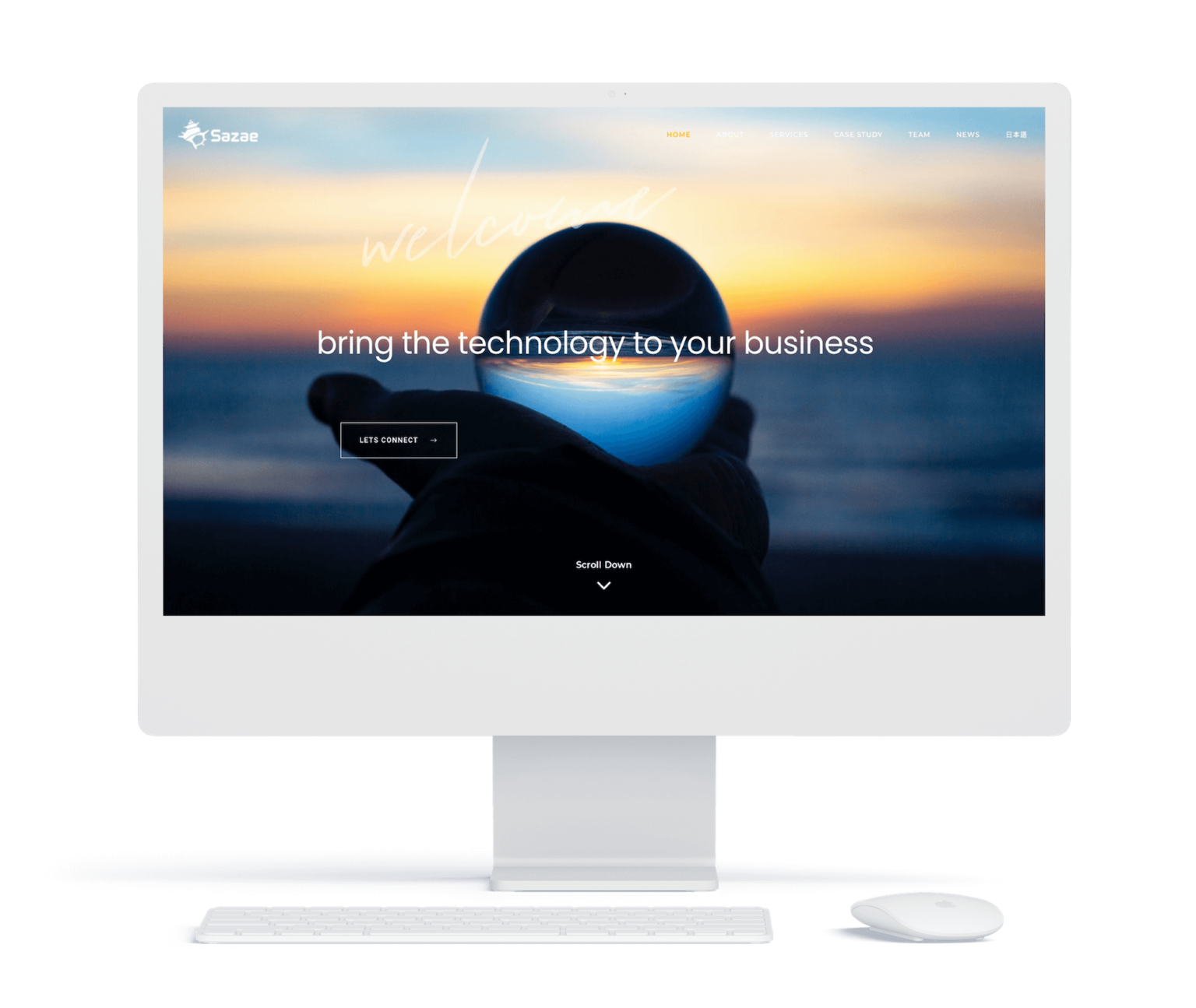 Odoo, Drupal, HubSpot, Boomi, ServiceNow, Mendix, IT Consultant, SaaS, Japanese IT agency ...